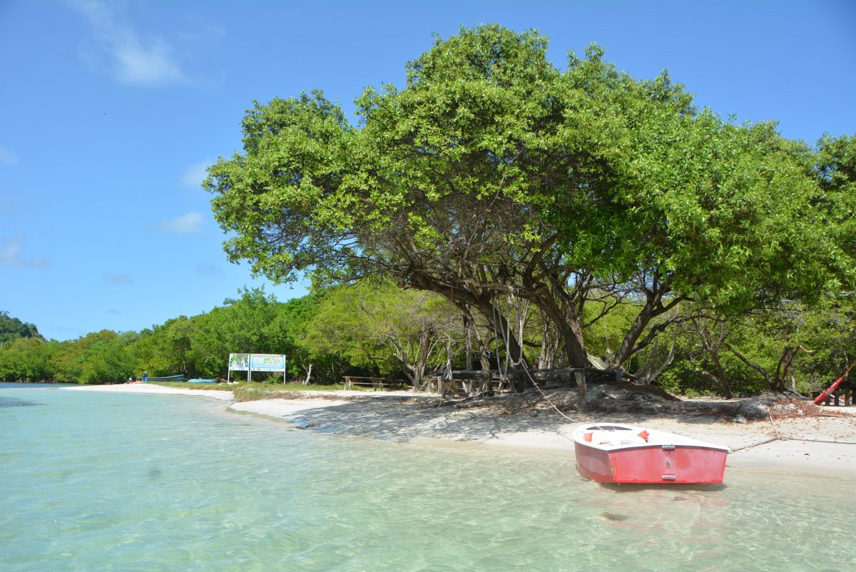 What to Do in Grenada? Water Activities! | ActivityFan Blog