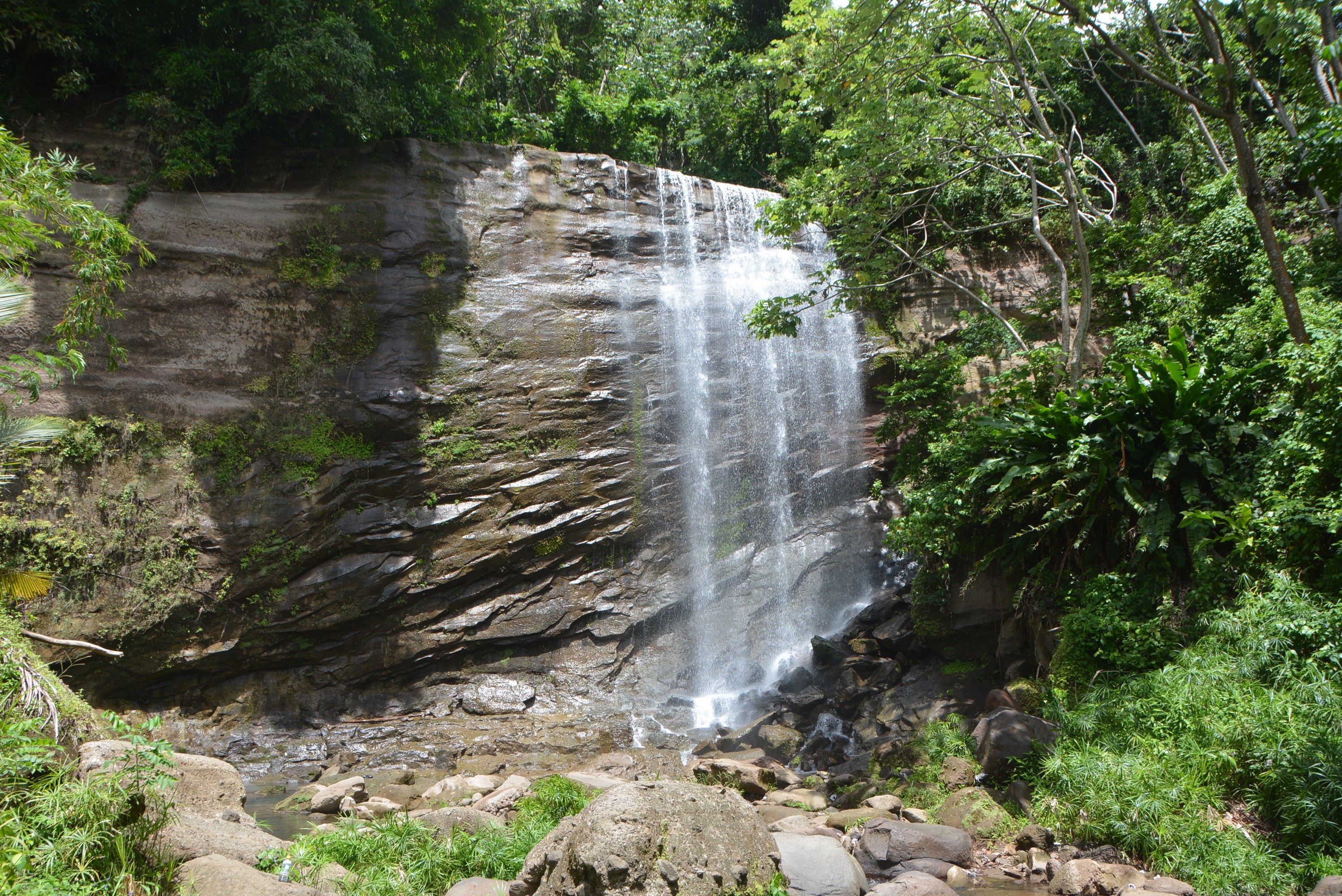 What to Do in Grenada? Water Activities! | ActivityFan Blog